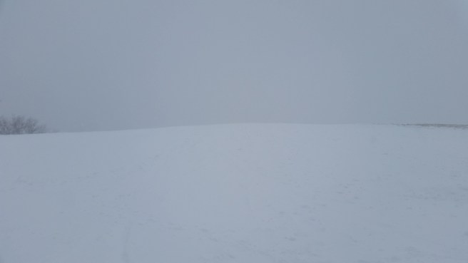Trekking Through the Blizzard