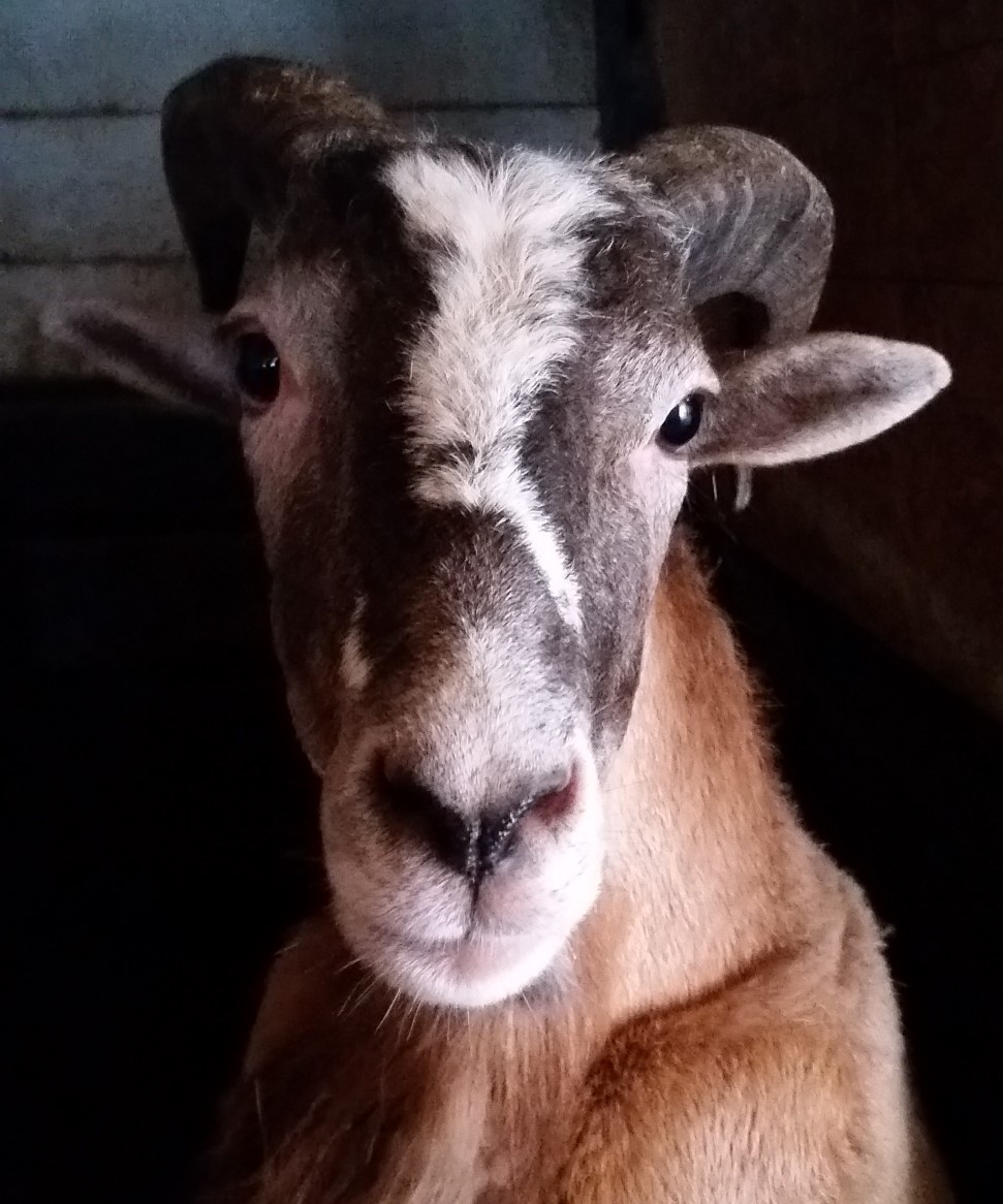 Does Anger Make You Mad?