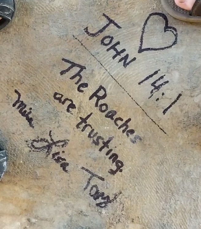 January 18, 2023 ~ Lisa Ancona-Roach ~ 2 Comments