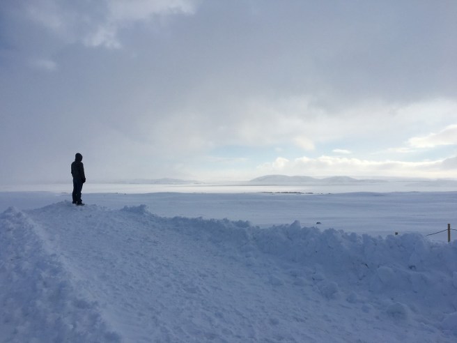 December 23, 2024 ~ Lisa Ancona-Roach ~ Leave a comment